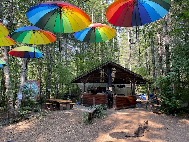 Elfendahl Forest - Hoodsport, WA