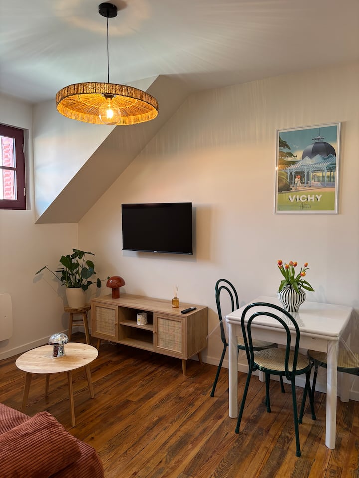 Vichy Cosy : T2, Plein Centre, Thermes Et Parcs - Vichy