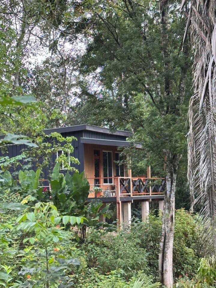 ​​Private Jungle Cabana On 5 Acres | 2.5mi To Town - Belize