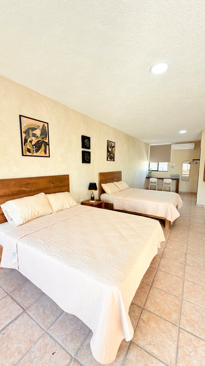 Loft Cómodo Y Limpio Con Estacionamiento - Ciudad Valles