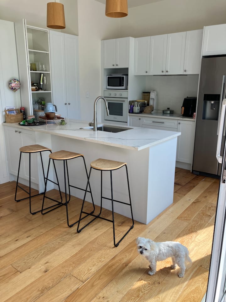 Lux Grey Lynn Central City Location. Dogs Welcome - Auckland