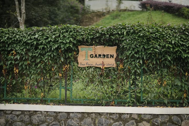 Cozy Mountain Forest Cabin Stay - Kuttikkanam