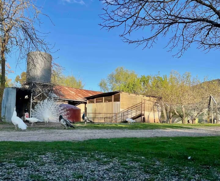 Willuna Sanctuary - Tommy's Retreat - Beechworth