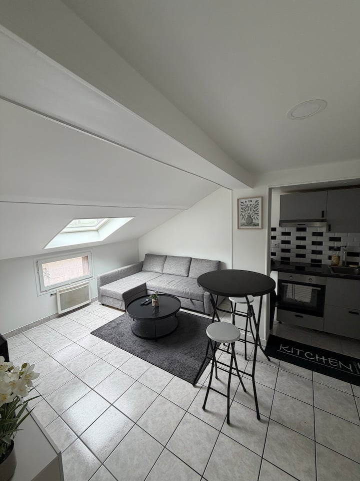 Charmant T3 Duplex – Orly, Massy Tgv, Centre-ville - Saulx-les-Chartreux