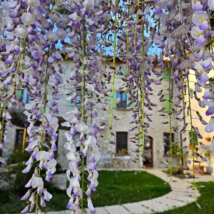 Camera In Bed And Breakfast - Valeggio sul Mincio