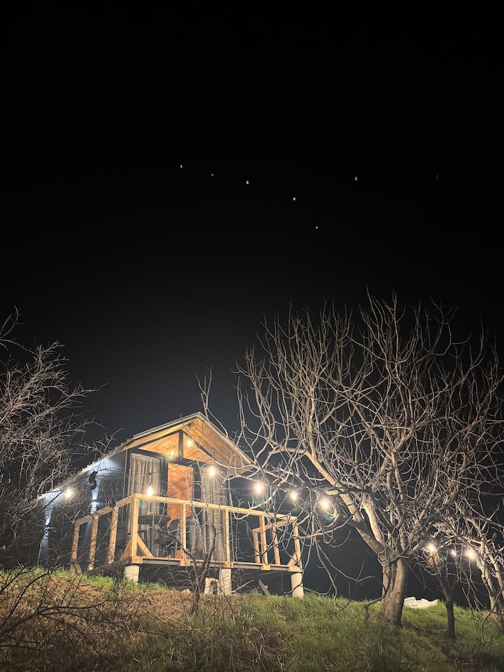 Cozy Forest Cabin! - Rinas