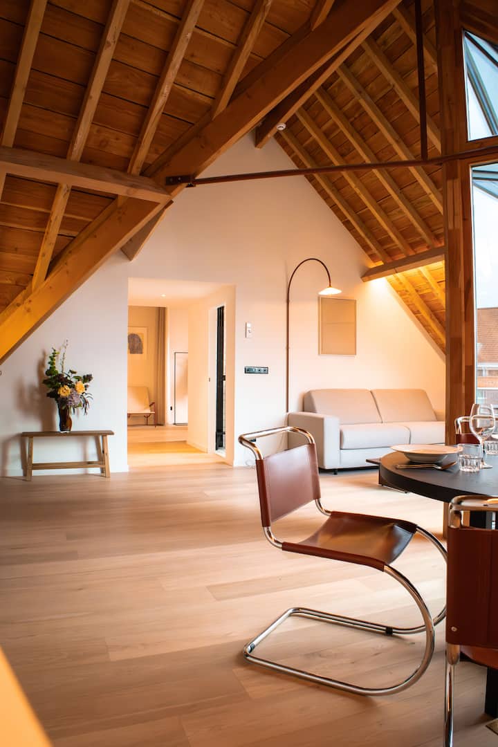 Renée, Elegant Loft With Private Terrace By Castle - Gent