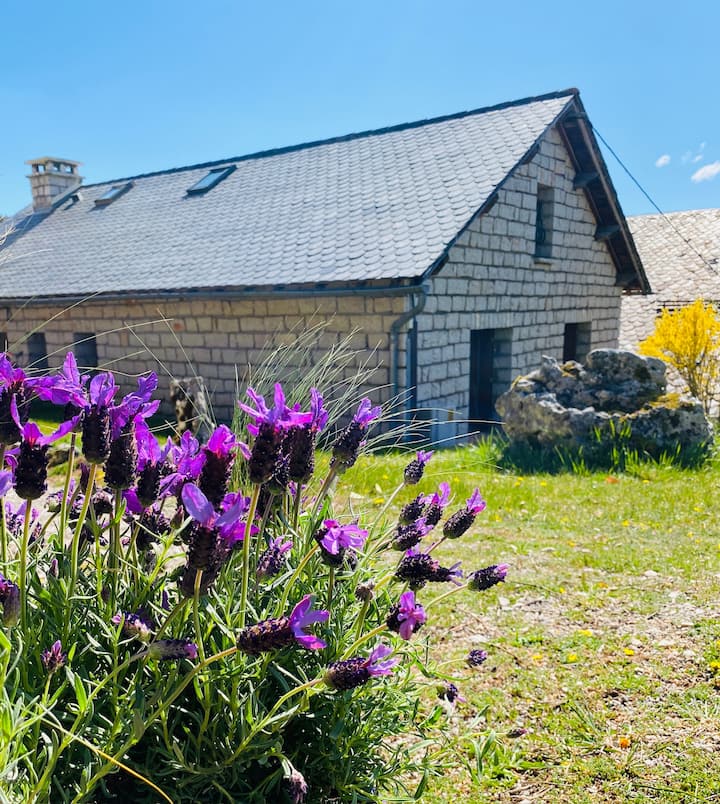 Gîte L'ostal - Sainte-Énimie