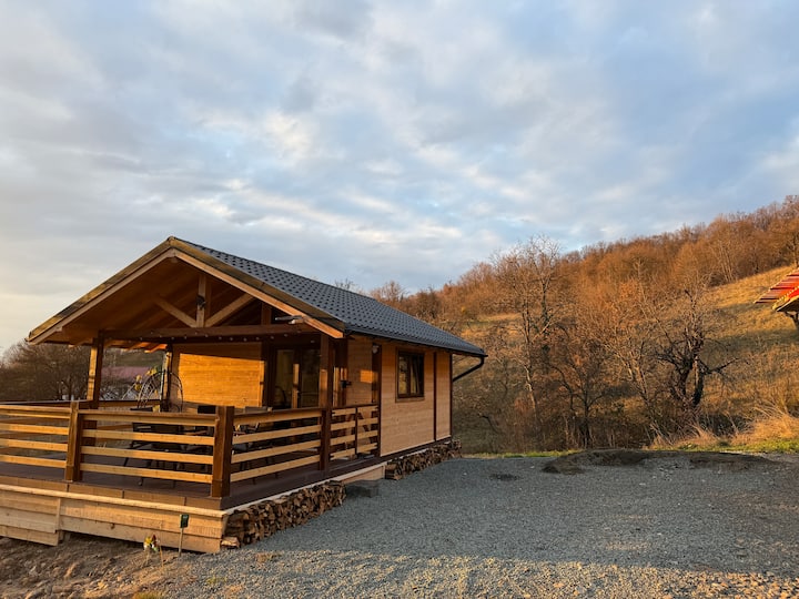 Tinyhouse Spotg - Maramureș