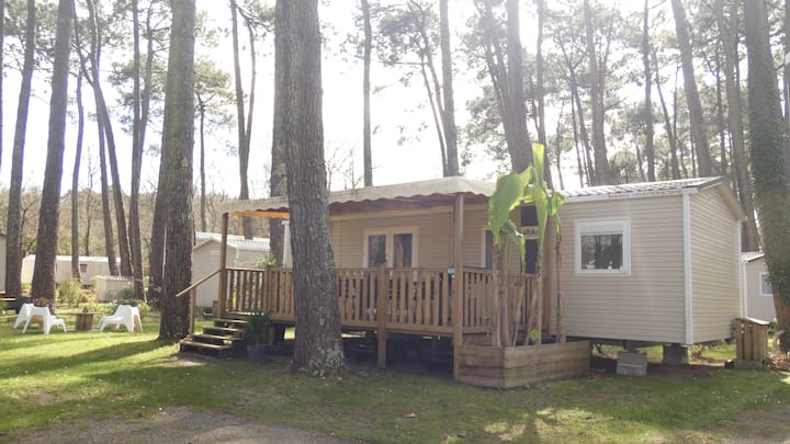Mobilhome Cosy Dans Camping, Entre Forêt & Plage - Soustons