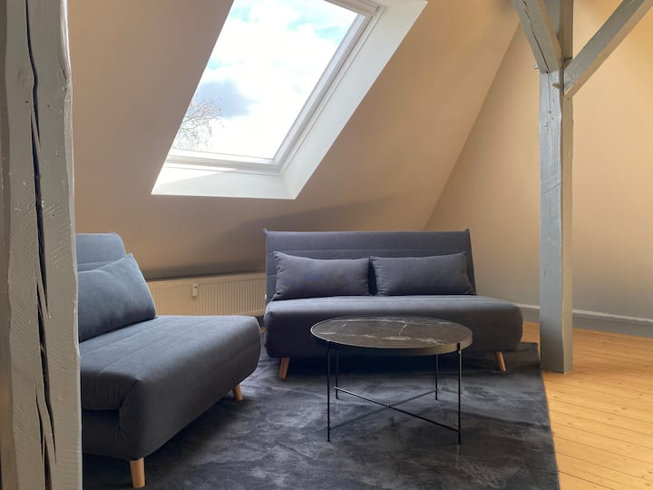 Charmante Dachwohnung In Historischer Villa - Hamm