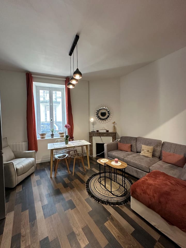 Appartement 3 Chambres - Clermont-Ferrand