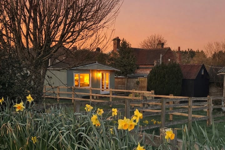 New Forest Farm - Animals, 15 Acres & Peppa Pig - Lyndhurst, UK