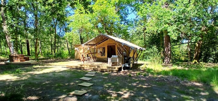 Lodge Forêt - Mimizan