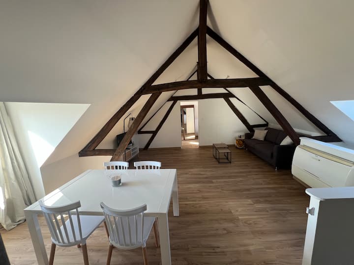 Appartement Lumineux Au Charme Authentique - Troyes