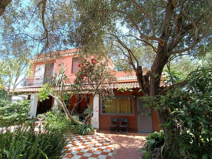 Grande Camera Con Terrazza E Bagno In Camera - Acireale