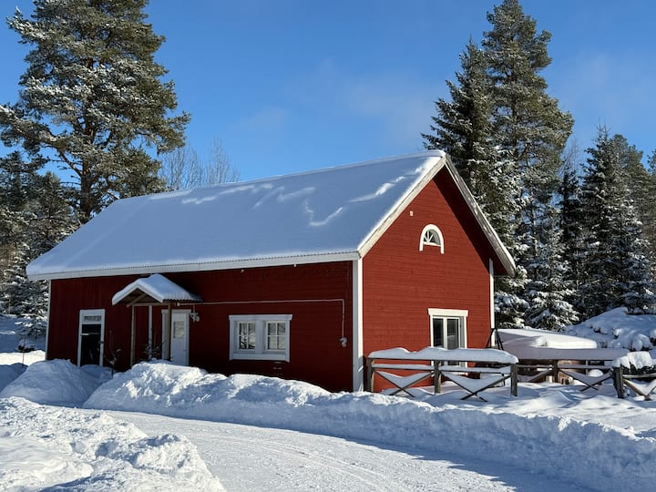 Mysig Stuga I Skogen På En Gård - Jämtlands län