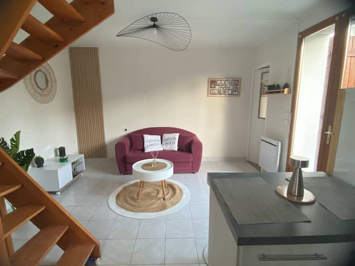 La Petite Maison D’angie - Fondettes