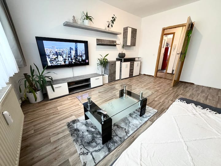 2 Raum Wohnung, Wifi, Küche, Waschmaschine, Ruhig - Weißenfels