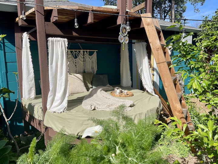 The Funky Palace @ Wild Abode - Davis, CA