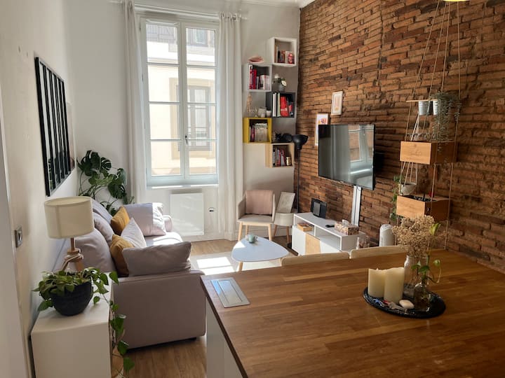 Le Cocon Toulousain. T2 Au Cœur De L’hypercentre. - Toulouse