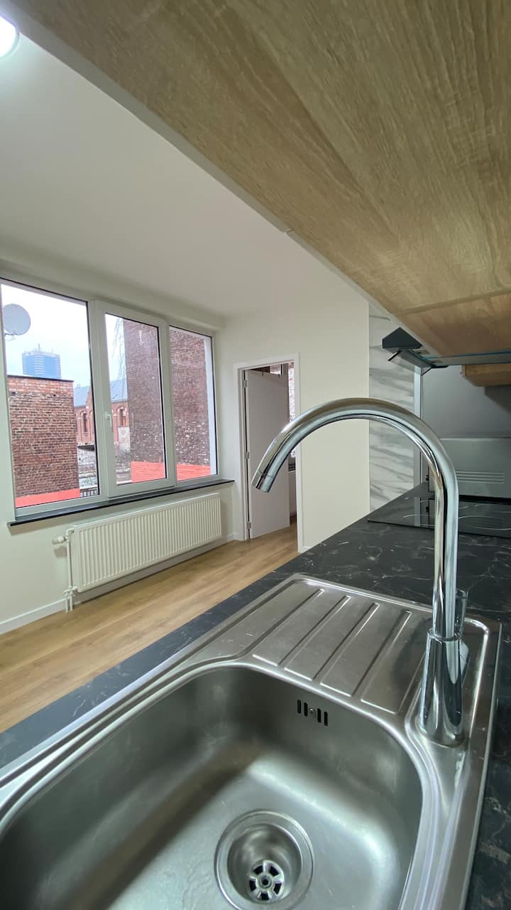 Appartement (2) : Proche Bruxelles-midi - Koekelberg