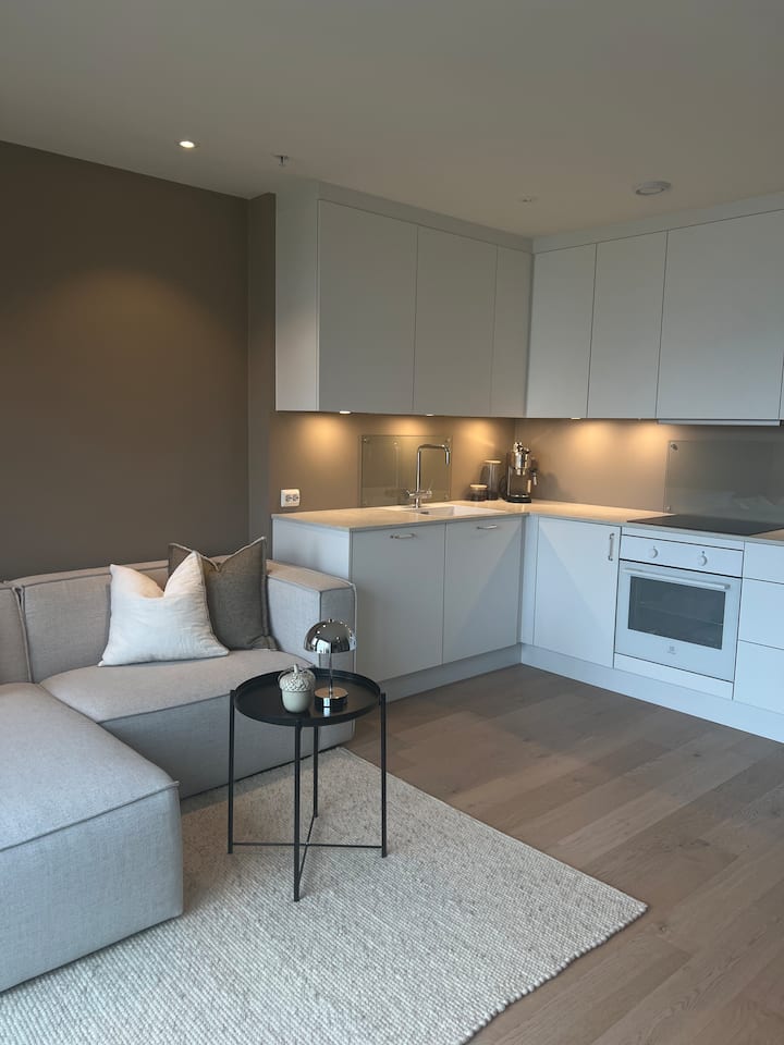 Modere Toppleilighet I Sentrum - Stor Takterasse - Kristiansand