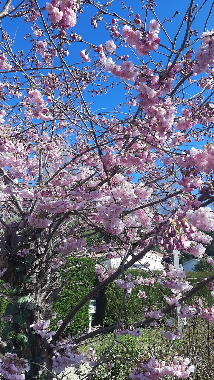 Une Maison De Vacances - Anet