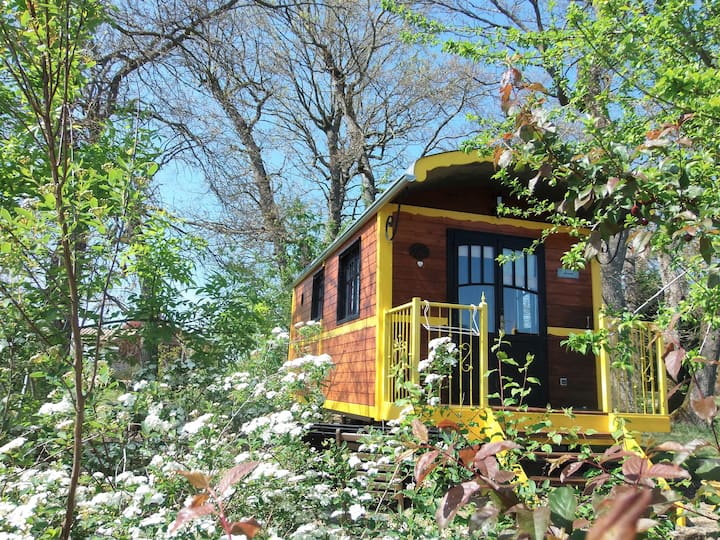 Dépaysement En Roulotte - Lectoure