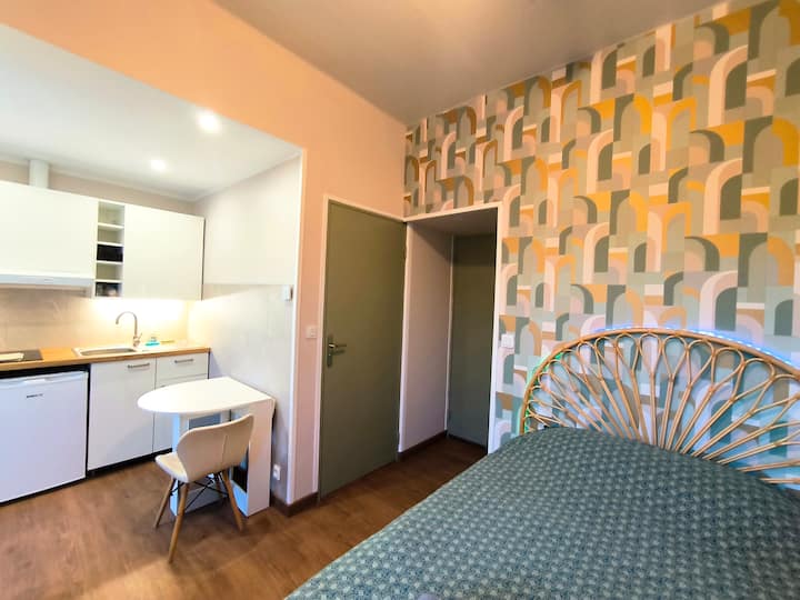 Appart Lyon Bron - Métro D / Tram T6 - Hôpitaux - Bron