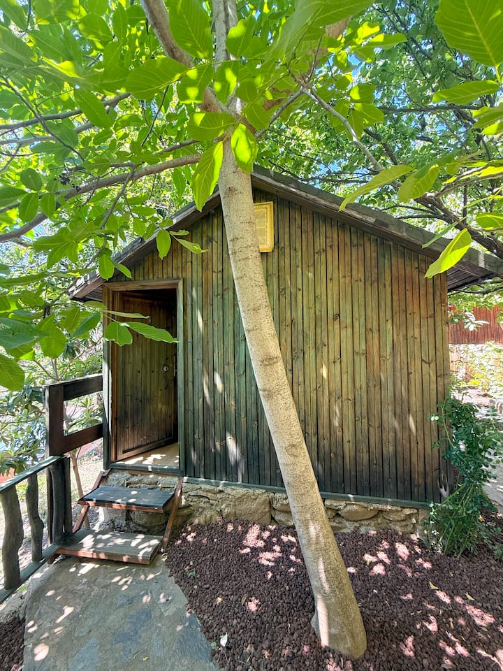 Adults-only Wooden Bungalow With Breakfast | Ida - Ida