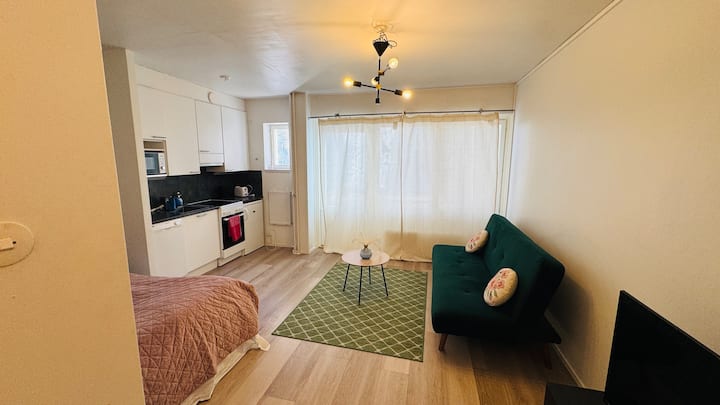 Cozy Studio Near Roihuvuori Japanese Garden - Helsinki