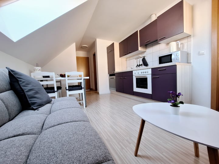 ŠPirala Place 2 - Near City Center + Free Parking - Bled