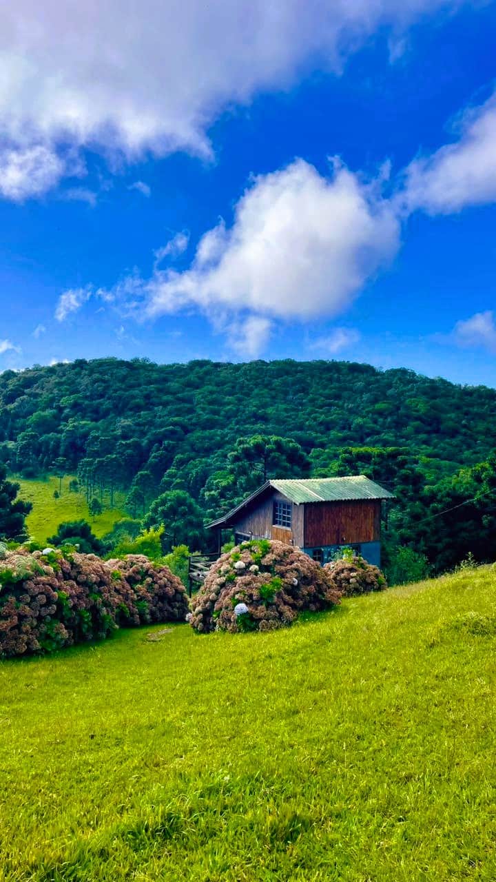 Chalé 07 - São Francisco de Paula