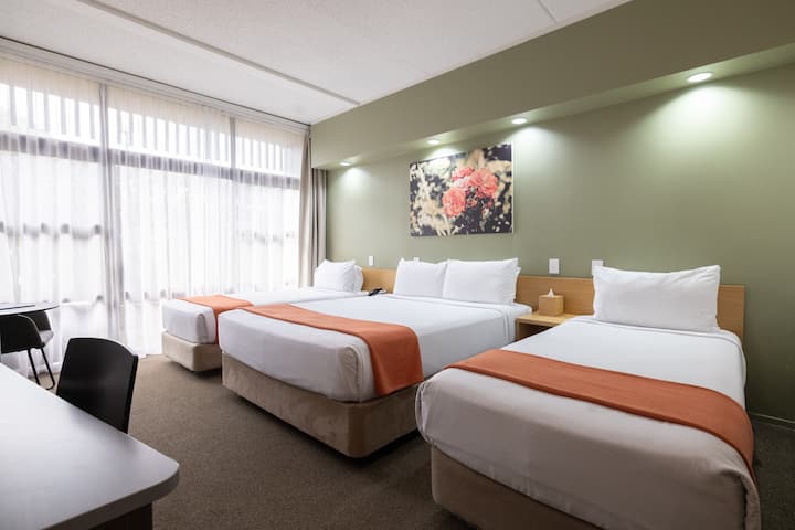 Triple Room (Family) 3 Sgl Beds Free Parking/pool - Auckland