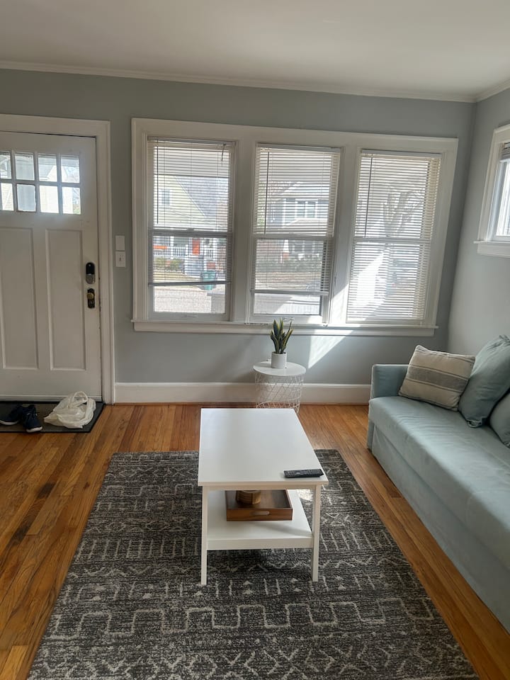 Cozy Flat In Bungalow/walk Downtown/free Parking! - Birmingham, MI