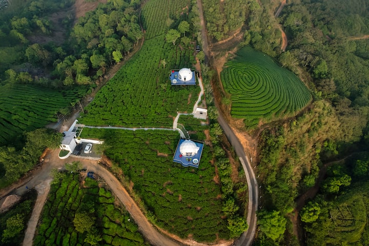 Tripeloo Pendora Glamps - Vagamon