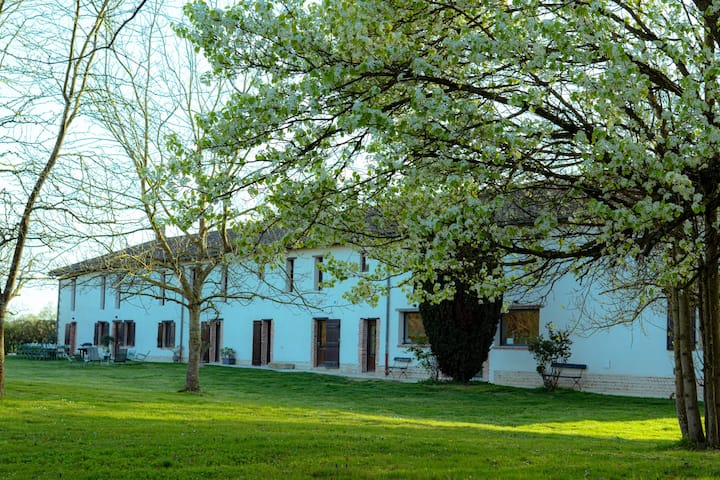 Gîte 15 Pers • Piscine • Nature • Dombes - Bourg-en-Bresse