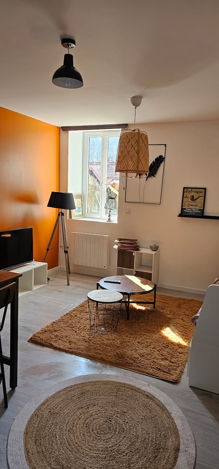 Studio Lumineux Et Chaleureux – Tout à Pied ! - Saint-Claude