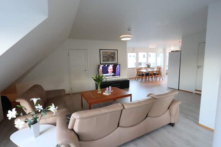 Toppleilighet Midt I ÅLesund Sentrum - Alesund