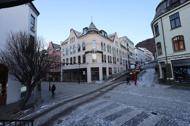 Toppleilighet Midt I ÅLesund Sentrum - Ålesund