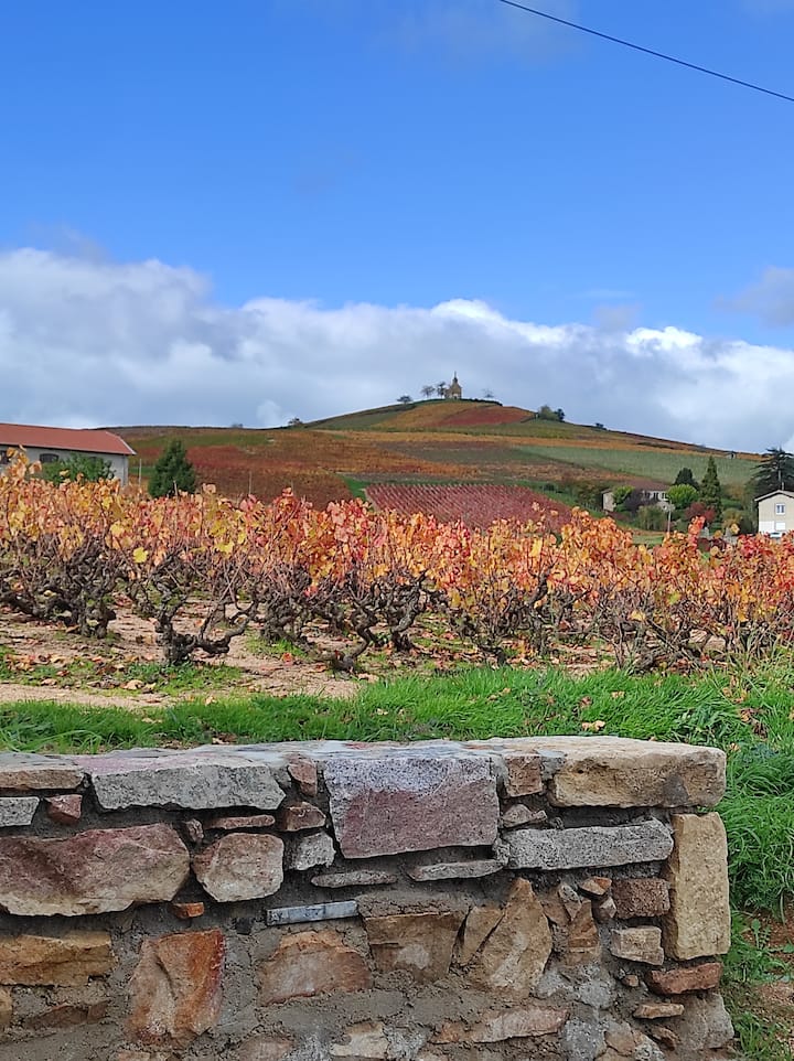 La Cazotte Entre Vignes Et Village - Fleurie