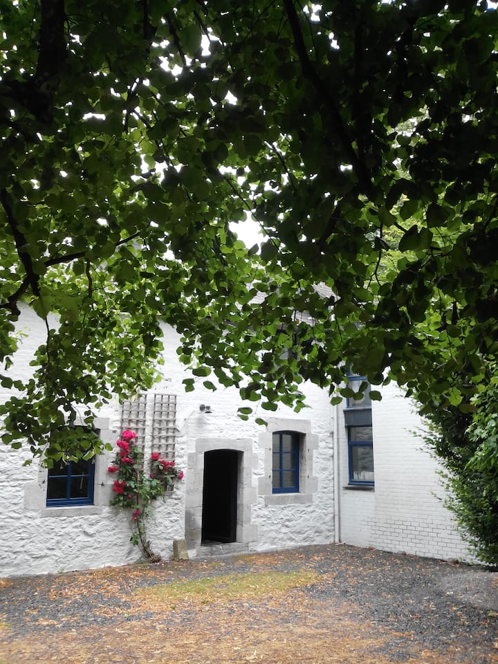 Maison De Charme Avec Jardin - Chimay