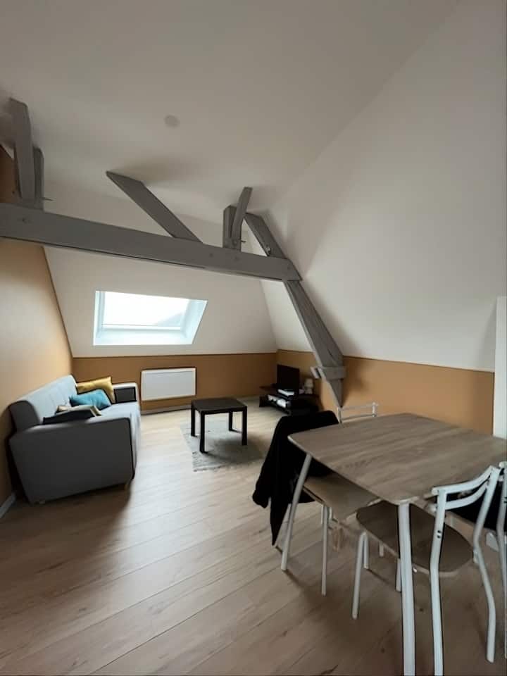 Bel Appartement T3 Proche Du Chu Et Place Bichon - Angers