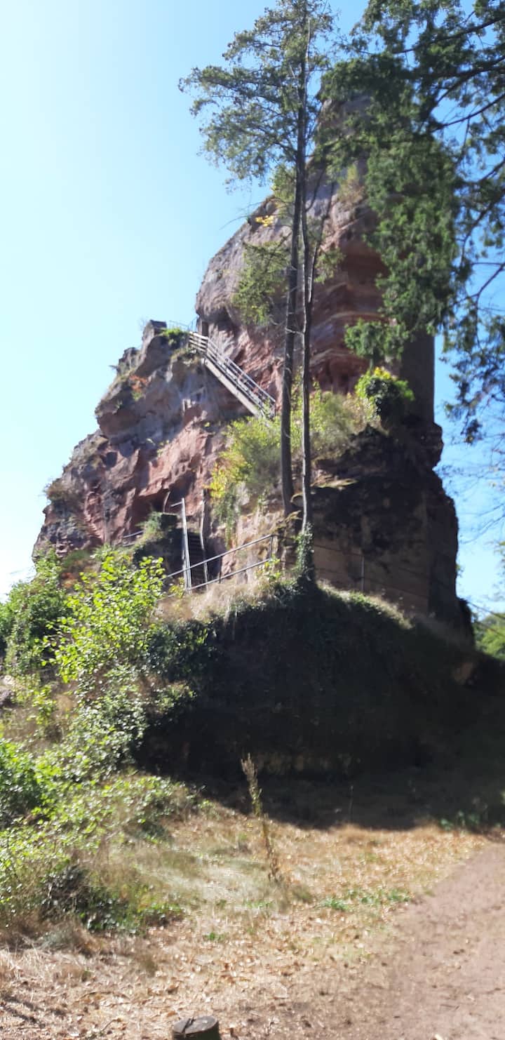 Wasgau Urlaubserlebnis Fels- Und Seen - Fischbach bei Dahn