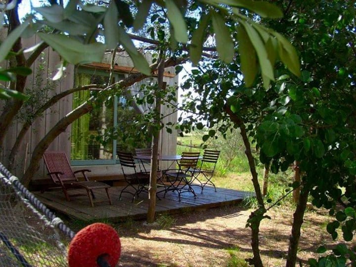 Maisonnette Studio Sous Les Oliviers
Picholine - Marseillan