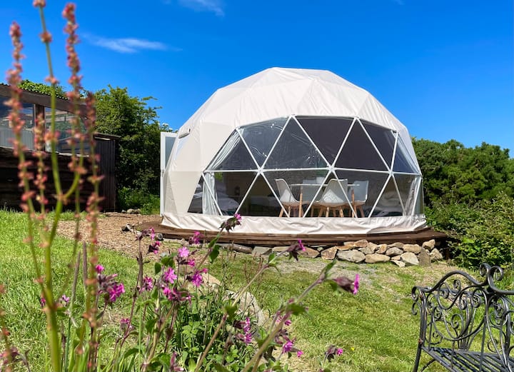 Daubenton's Glamping Dome - Fishguard