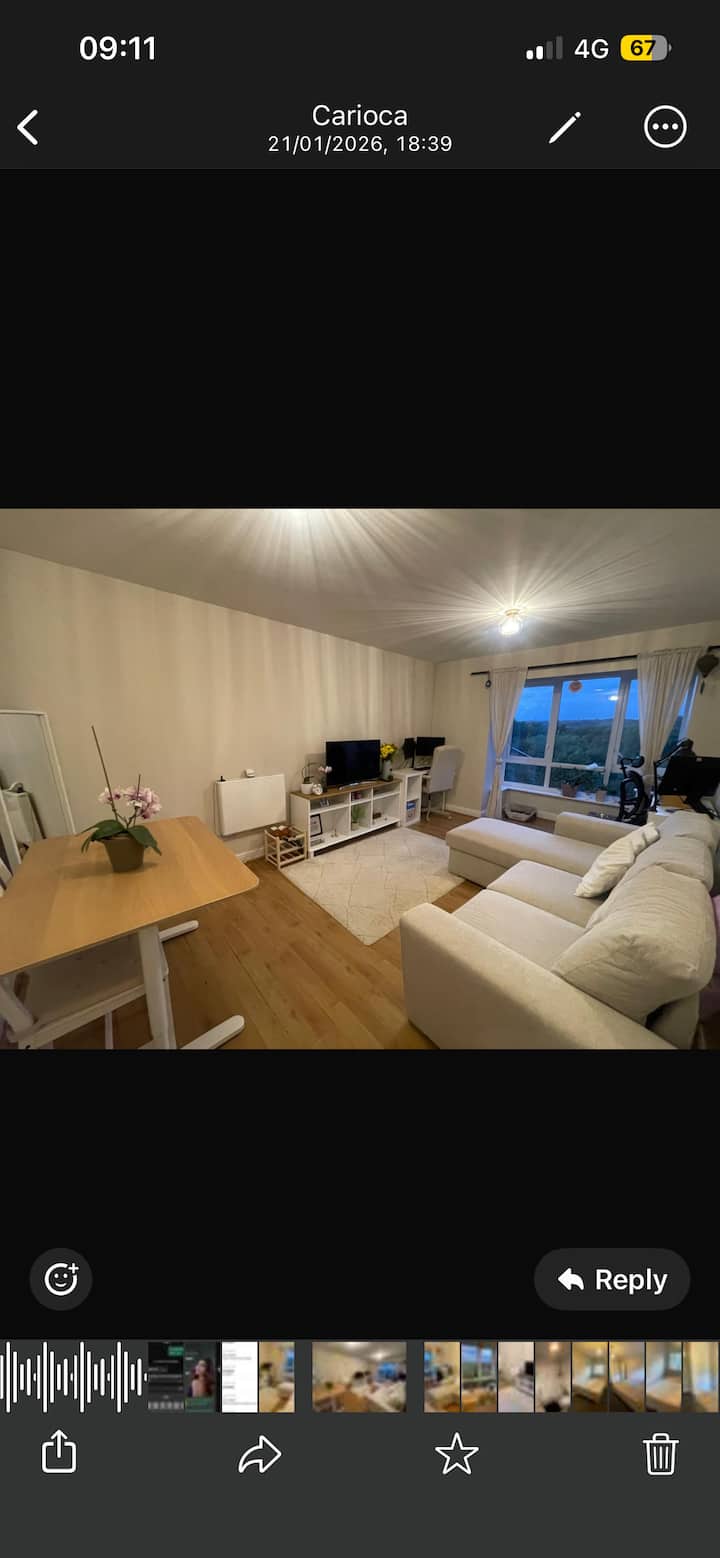 Cozy 2-bedroom Apartment Near City Center - Dublin