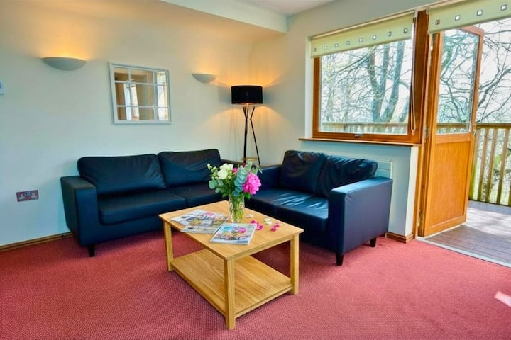 Spacious Bracken Lodge/3 Bedrooms/near Dartmoor - Ashburton, UK
