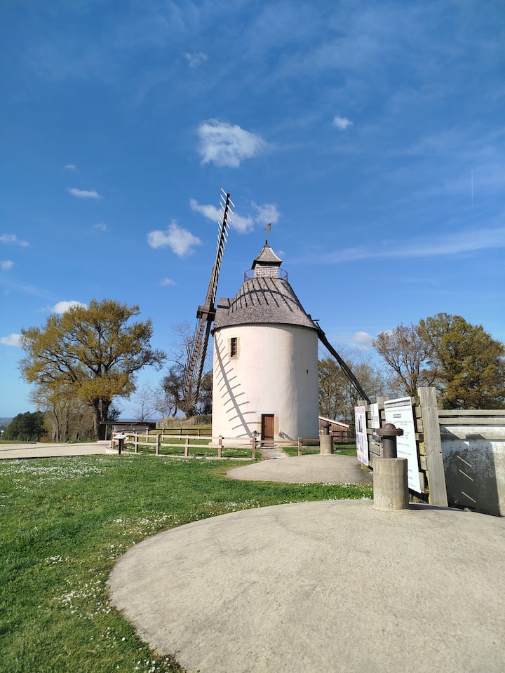 La Boussole Argenté - Saint-Paul-lès-Dax